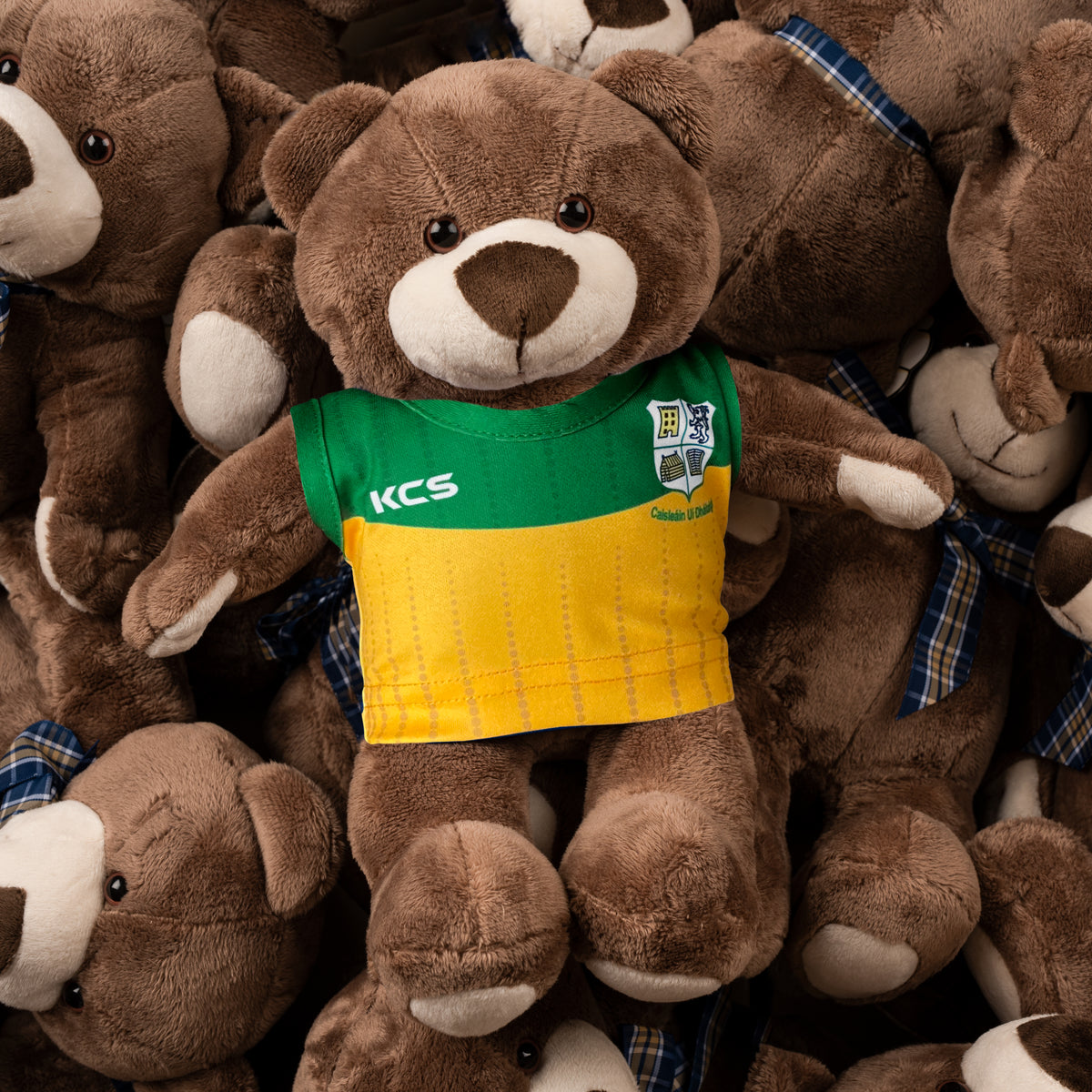 Castleday GAA Club Teddy Bear – KCS
